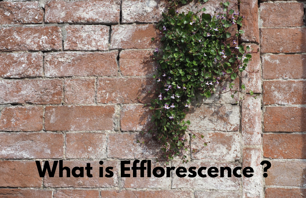 What Is Effloresence? - EP Asia | Manufacturer of Biodegradable ...