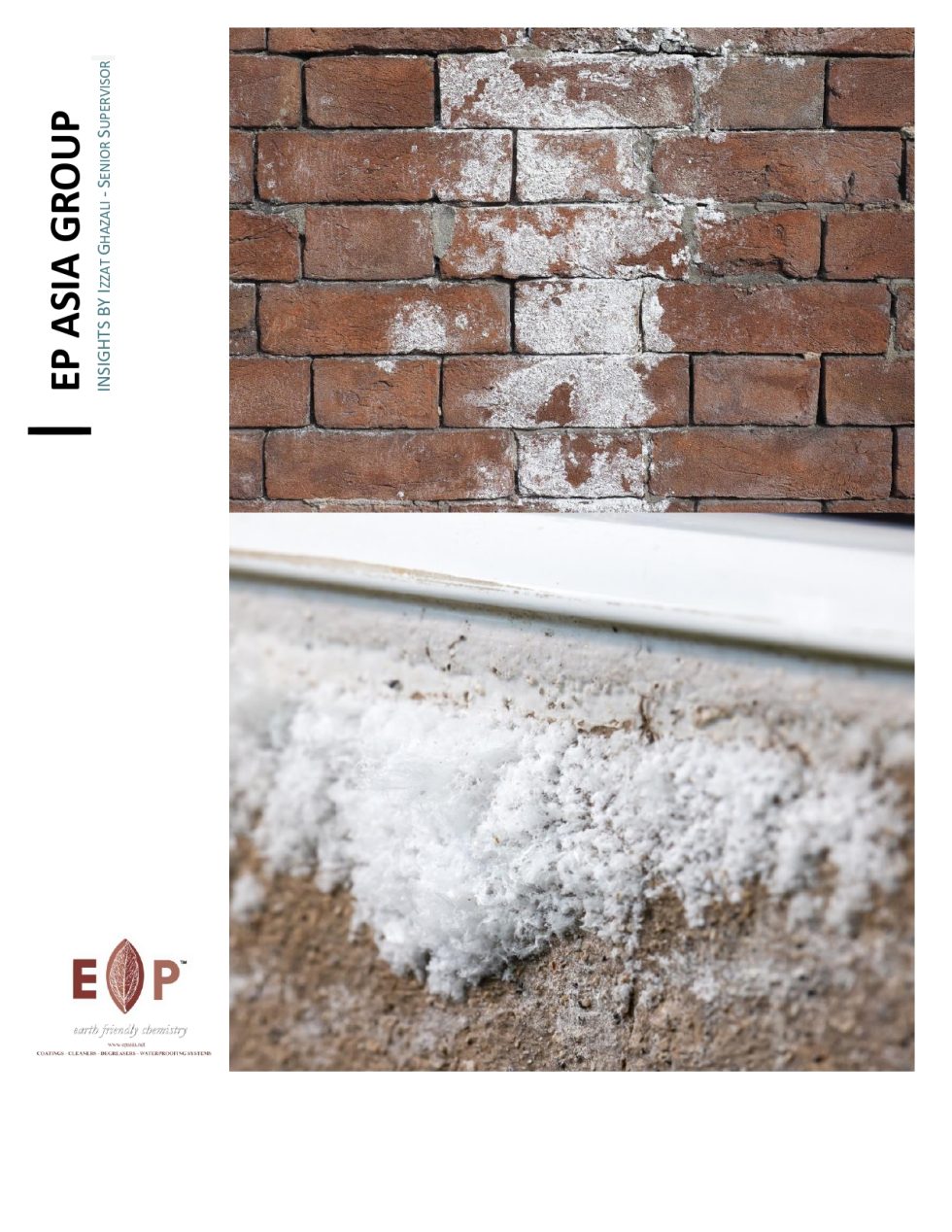 What Is Effloresence? - EP Asia | Manufacturer of Biodegradable ...